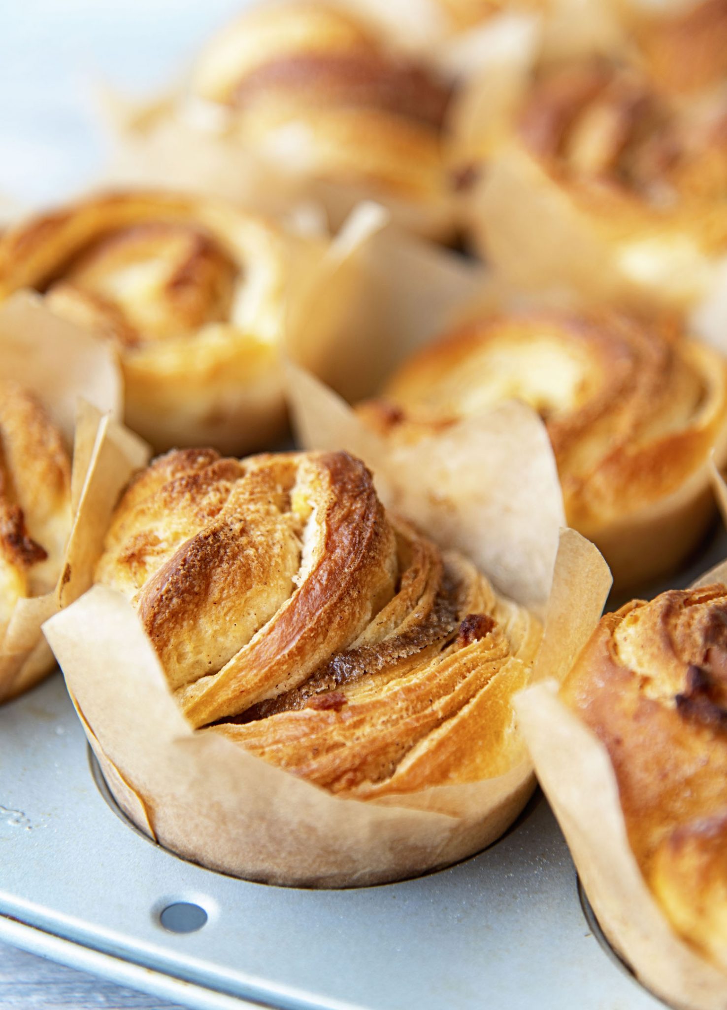 Laminated Apple Cider Buns with Cinnamon Sugar