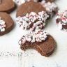 Peppermint Mocha Shortbread Dipped in Chocolate and Candy Canes